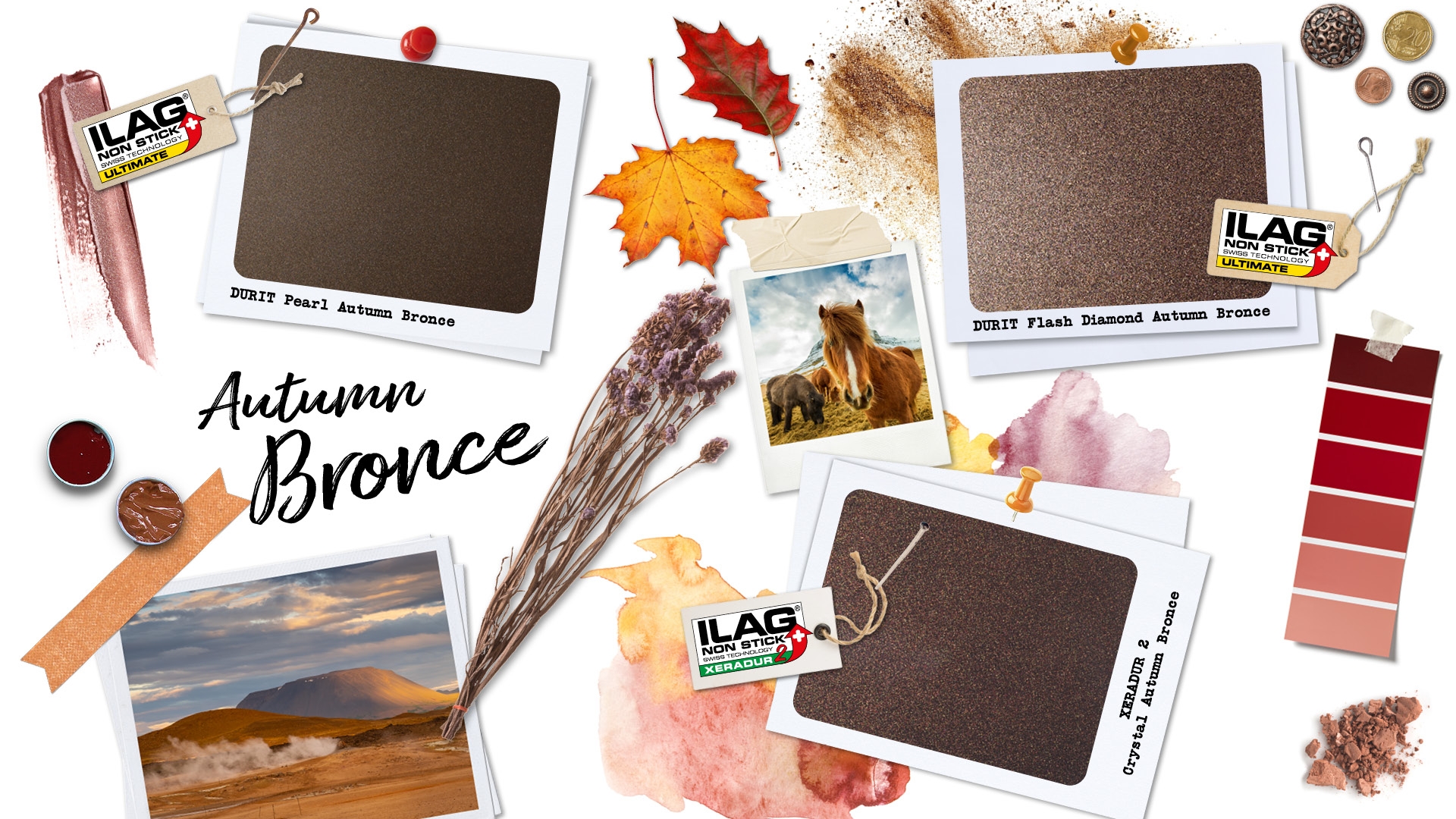 Colors of Iceland | ILAG